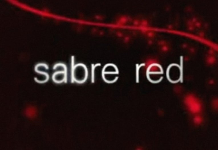 Sabre renouvelle son outil de profils client - Tour Hebdo