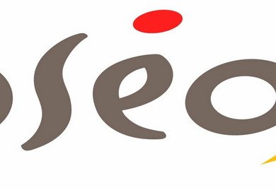 Oséo enregistre une recrudescence de demandes - Tour Hebdo