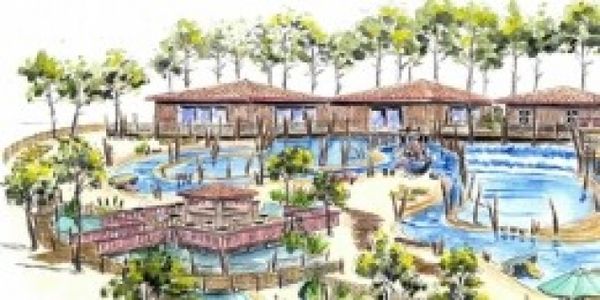 Le Framissima Nature de Soustons s'expose au Map - Le Quotidien du Tourisme