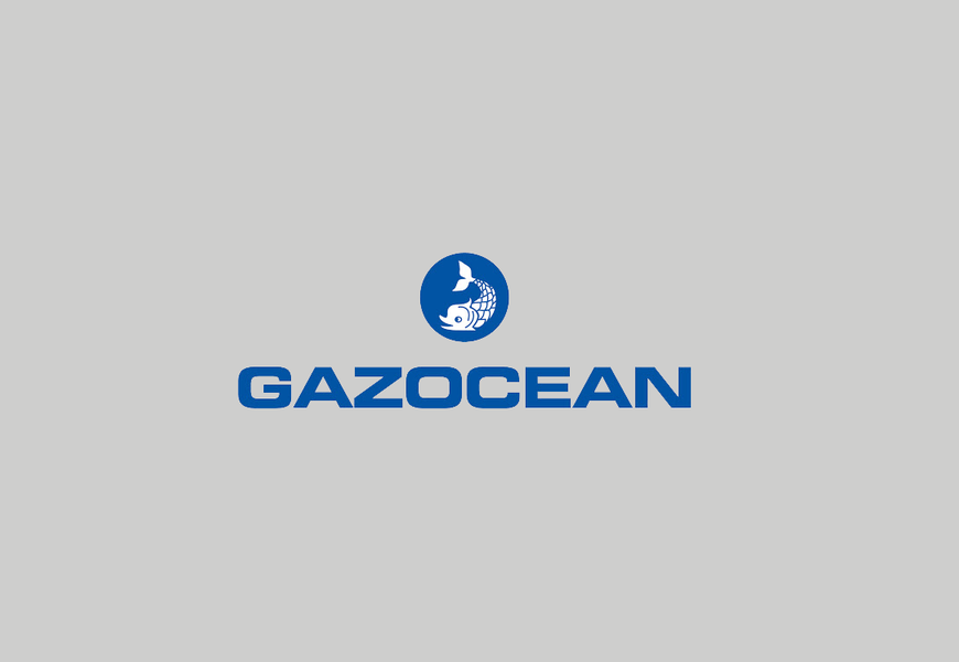 Deux cabinets sur la vente de Gazocean - LJA | La Lettre des Juristes d ...