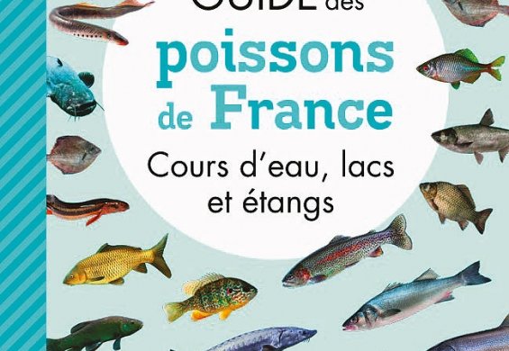 Le guide des poissons de France - Pêche et Poissons