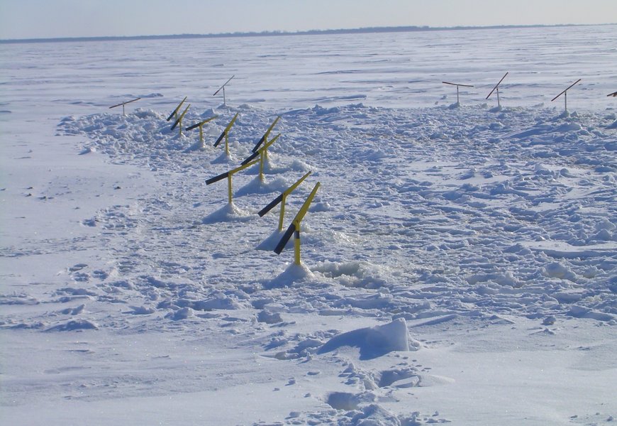 Le lac Saint Pierre au pays des Caribous - Peche et Poissons ...