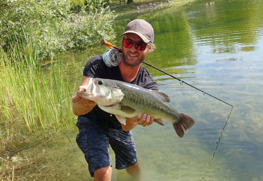 Mouche : objectif black-bass - Peche et Poissons | Carnassiers, carpe ...