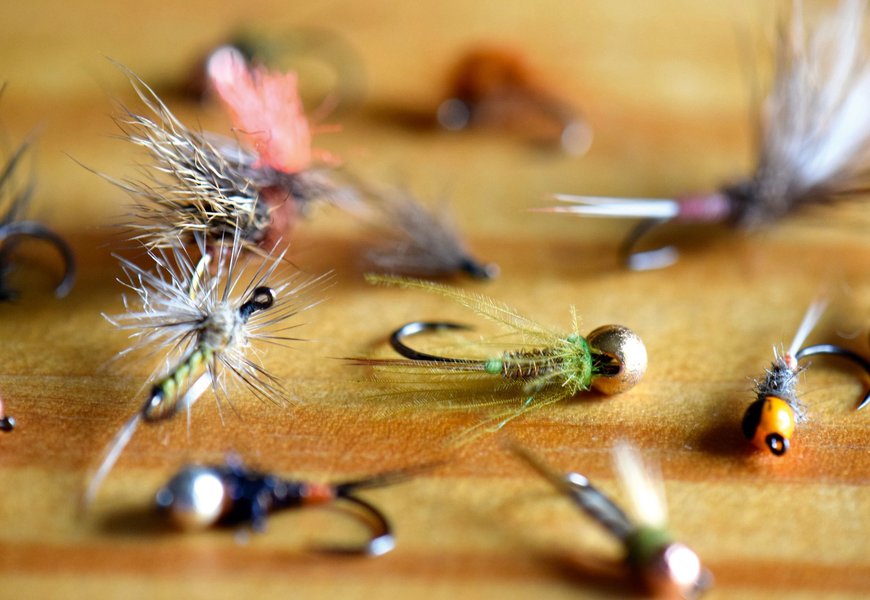 Cours de montage de mouches - Peche et Poissons | Carnassiers, carpe ...