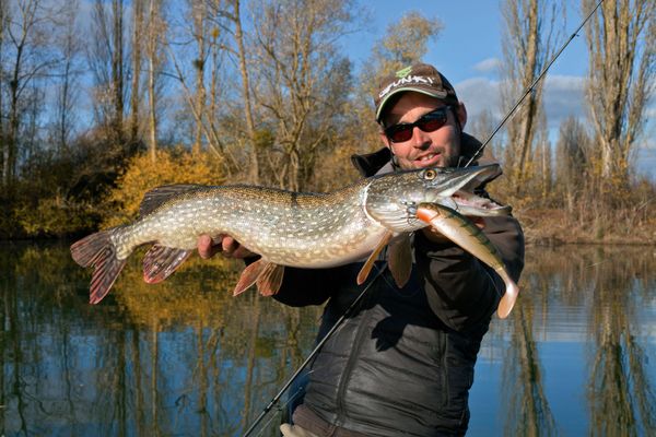 Brochet Quelles Tailles De Leurres Au Maximum Peche Et Poissons