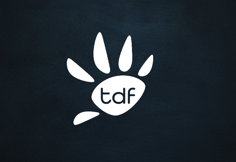 Entrée de la Banque des Territoires au capital de TDF Fibre - NextStep ...