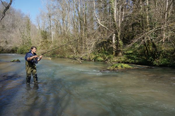 Ver ou teigne : le combat des stars de la pêche de la truite aux appâts ...