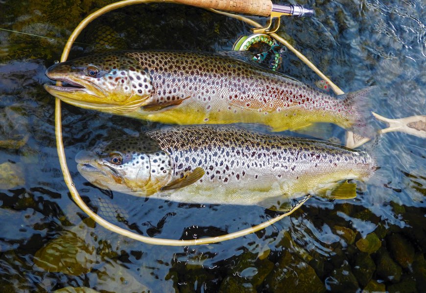 Ouverture mouche : pêchez tout en finesse le jour J - Peche et Poissons ...