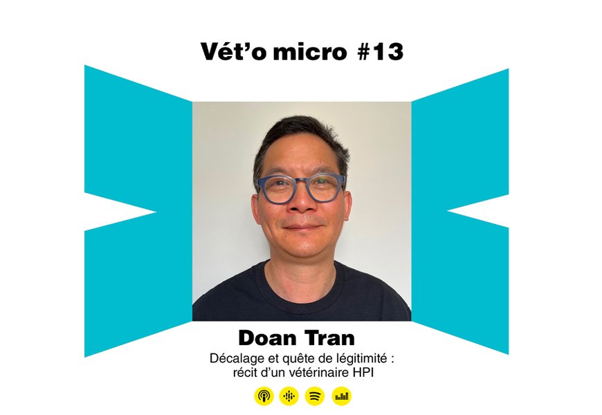 Épisode #13 - Doan Tran - Décalage et quête de légitimité : récit d’un ...