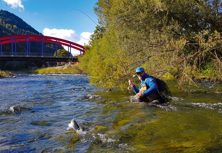 Pêche à la mouche en Autriche : bienvenue en Carinthie ! - Peche et ...