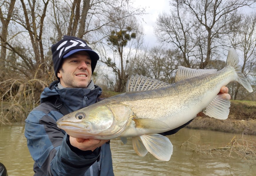 Sandre : anticiper la crue pour mieux le pêcher - Peche et Poissons ...