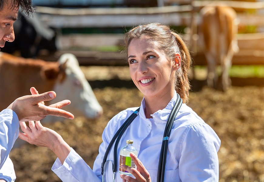 Explaining the mansplaining - Temavet