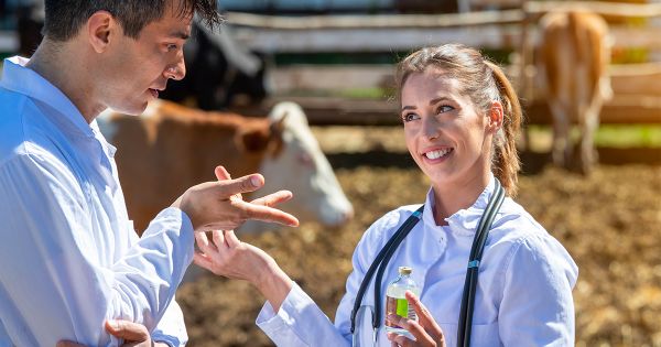 Explaining the mansplaining - Temavet