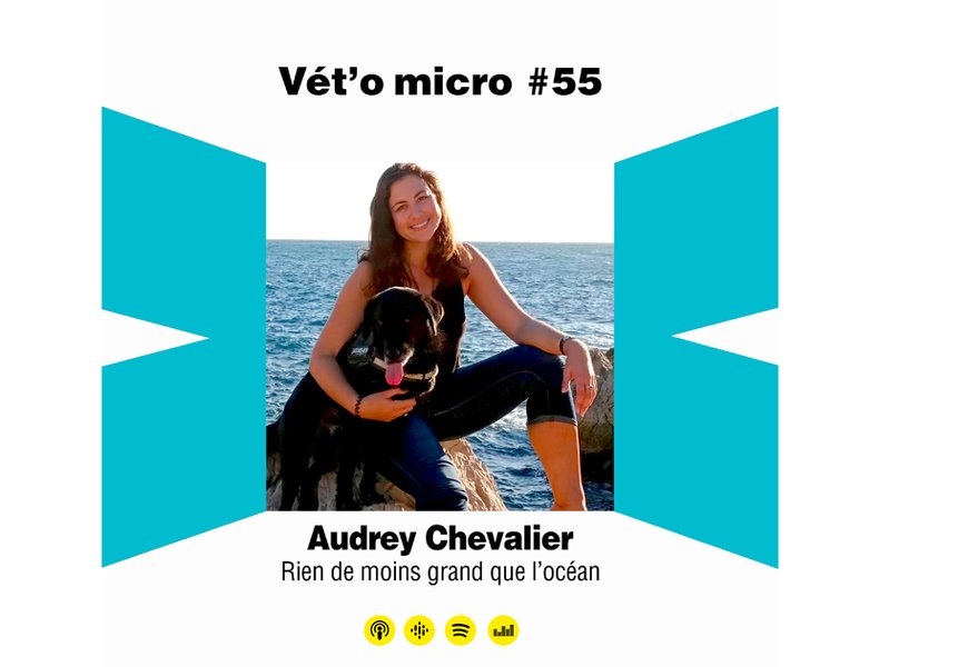 Épisode #55 - Audrey Chevalier - Rien de moins grand que l’océan - Temavet