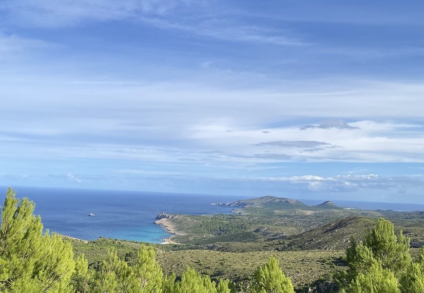 La TUI Care Foundation soutient la destination Majorque - Le Quotidien du Tourisme