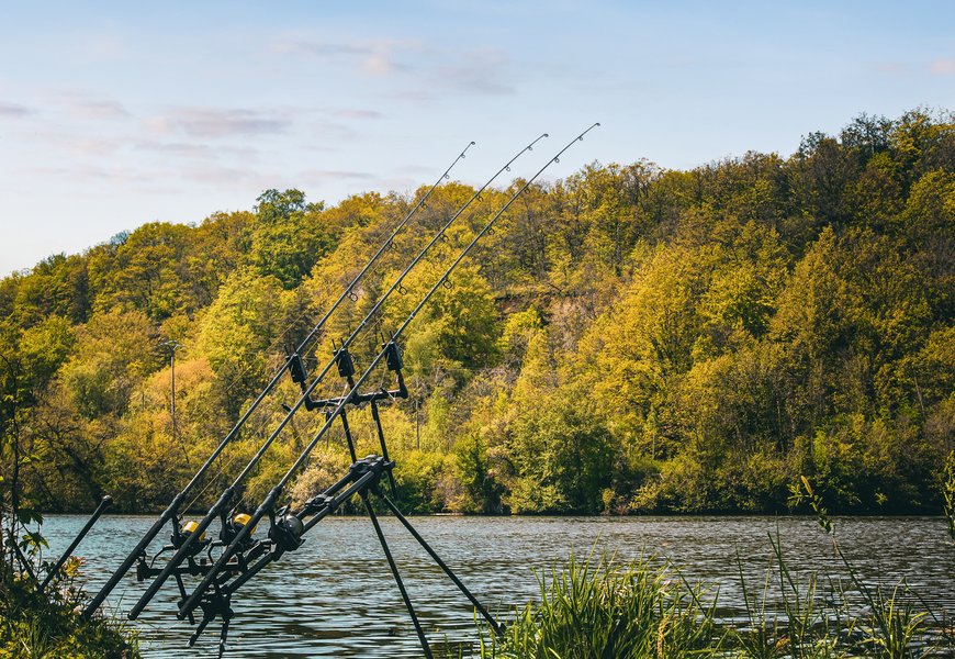 Pêche de la carpe sur la Moselle : un coin de paradis - Peche et ...