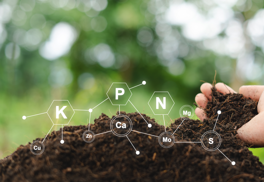 Prendre la bêche et réaliser le test Vess pour analyser son sol