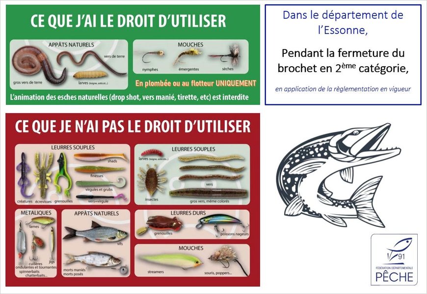 Fermeture Brochet La Pêche Aux Leurres Et Au Vif Est Maintenant
