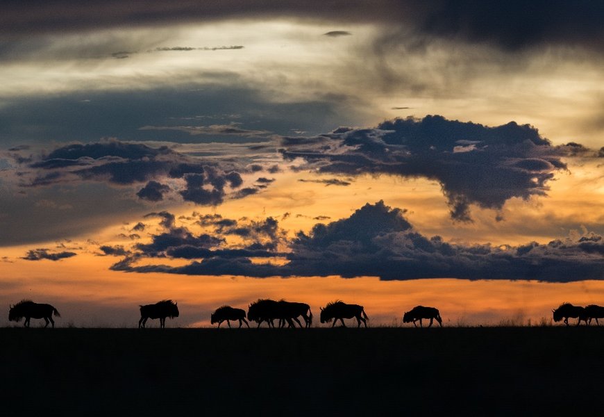 5 raisons de découvrir la Zambie - Tour Hebdo