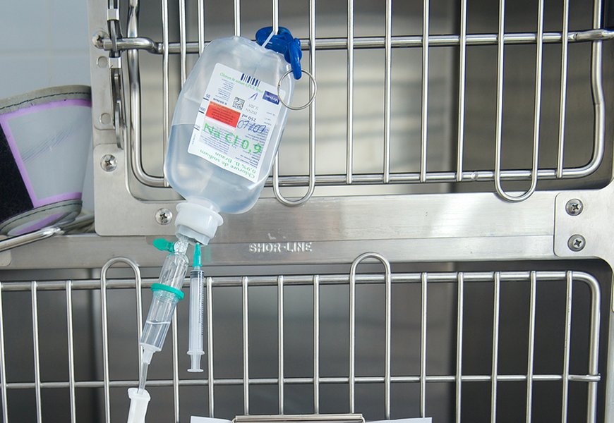 Qu’est-ce qu’un soluté isotonique ? - Temavet